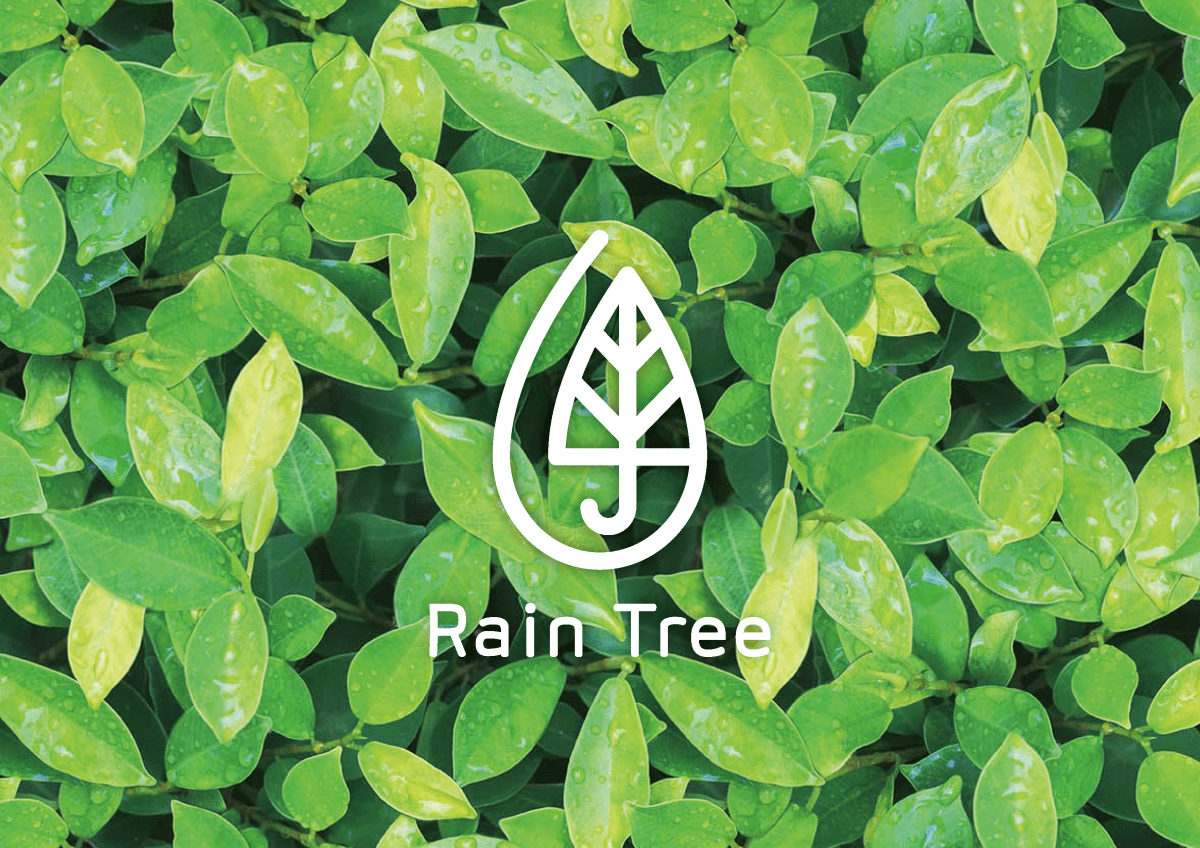 Rain Tree – foresty